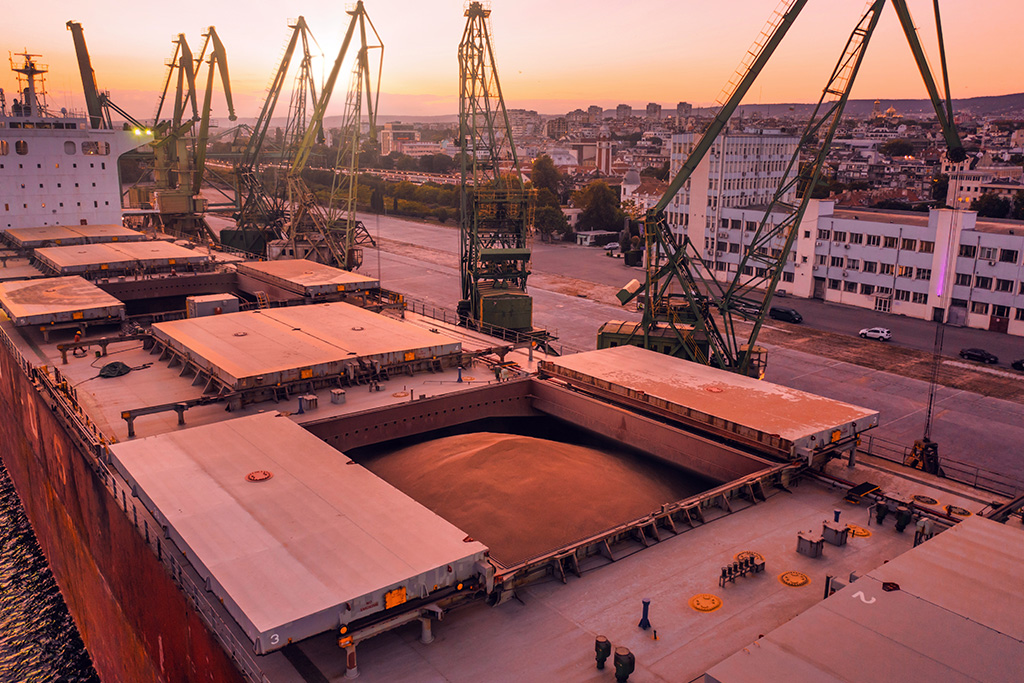 Integrated Project Controls - Yanun