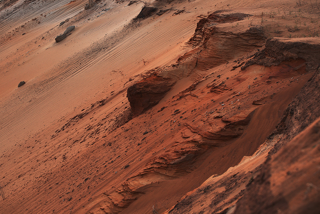 Risk Management - Yanun